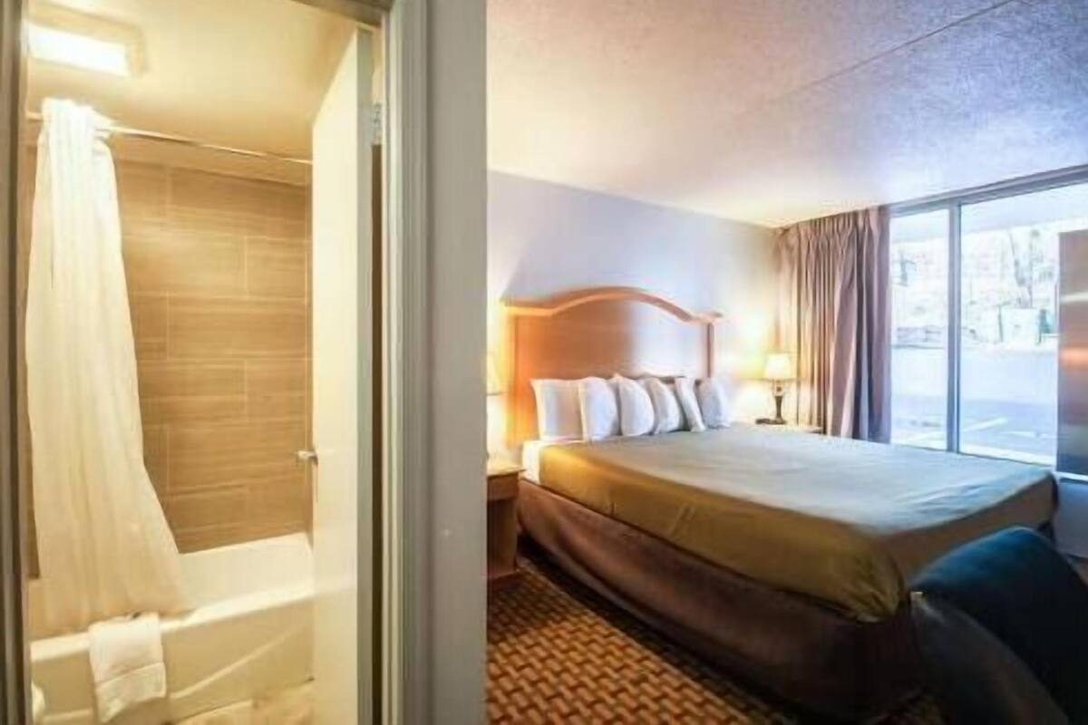 Quarto de hotel com chuveiro, uma cama com travesseiros, cortina de chuveiro, mesa de cabeceira e janela.