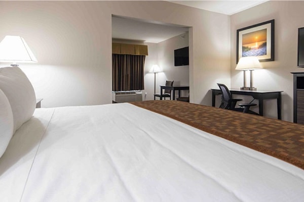 Quarto standard, 1 cama King, cozinha americana, vista para o pátio | Cozinha americana privada | Geladeira, micro-ondas, cafeteira/chaleira