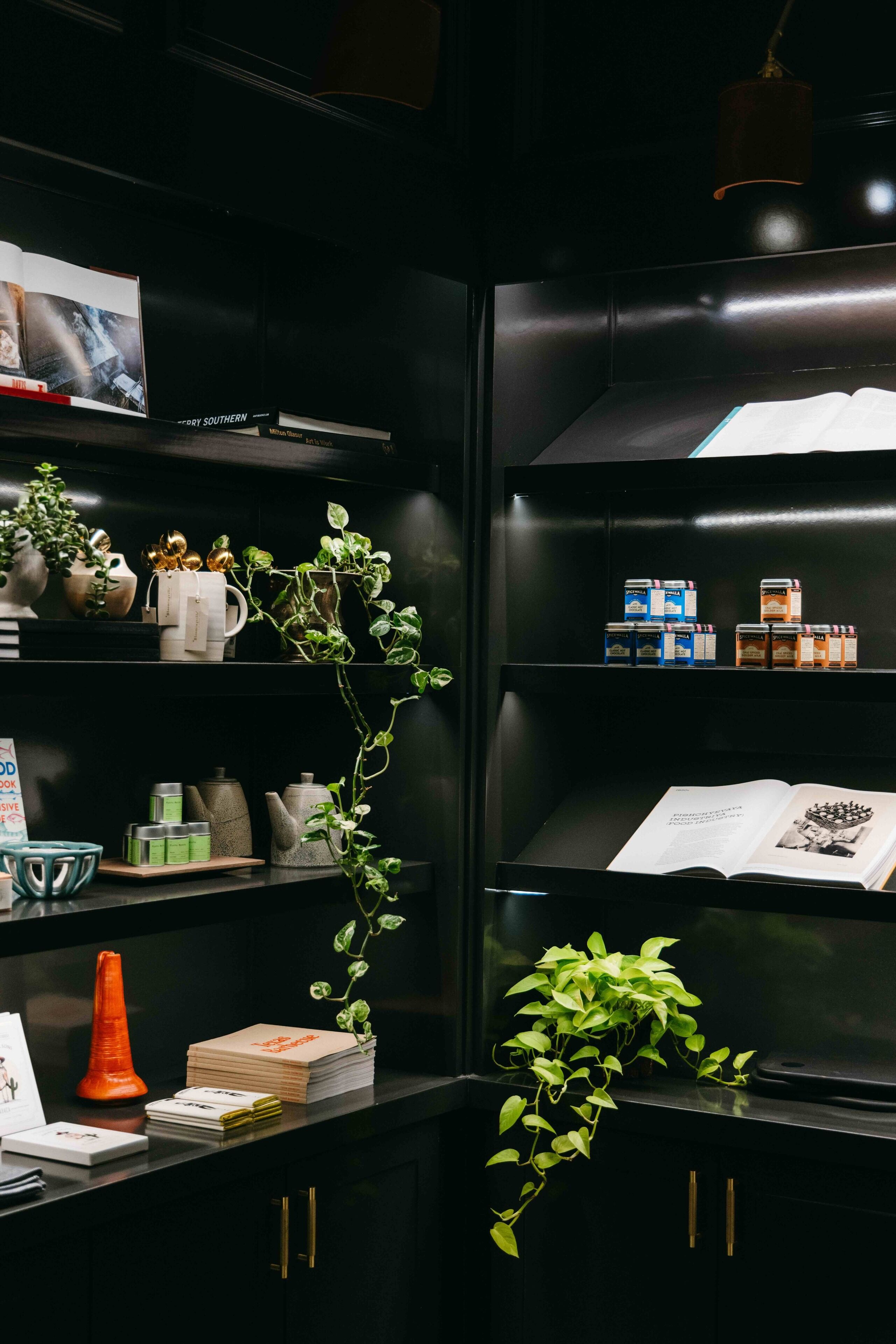 Um quarto com prateleiras pretas exibindo livros, objetos decorativos e uma planta.