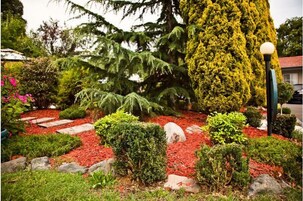 Um jardim com diversas plantas, uma árvore grande e um caminho de pedra.