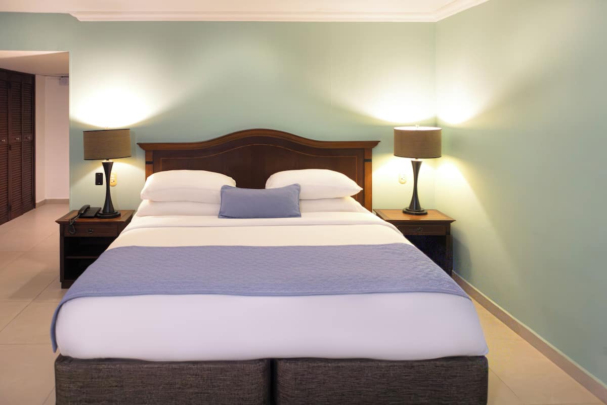 Suite Júnior, 1 cama king-size, não fumadores | Roupa de alta qualidade, edredões de penas, minibar, cofre no quarto