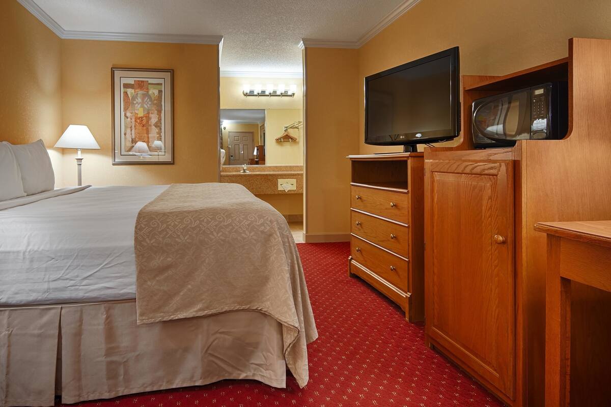Quarto de hotel com uma cama, penteadeira, televisão e micro-ondas.