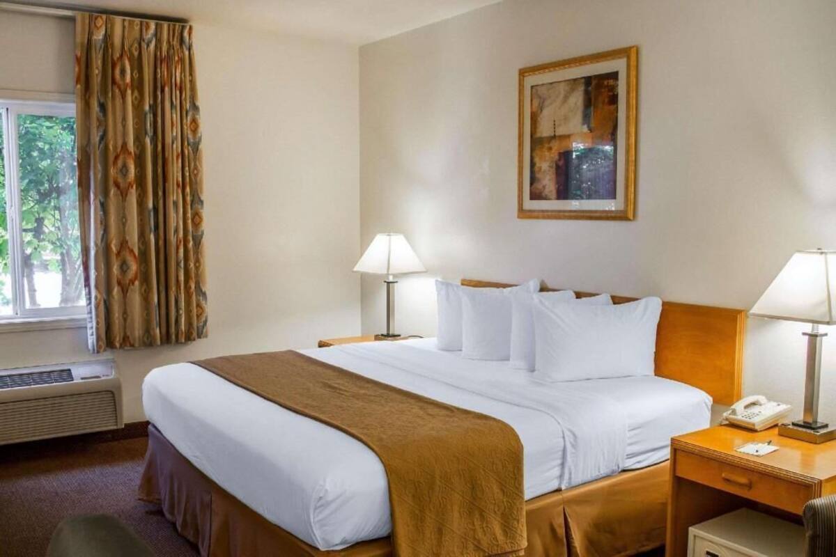 Quarto de hotel com cama, abajures, telefone, quadro na parede e janela com cortinas.