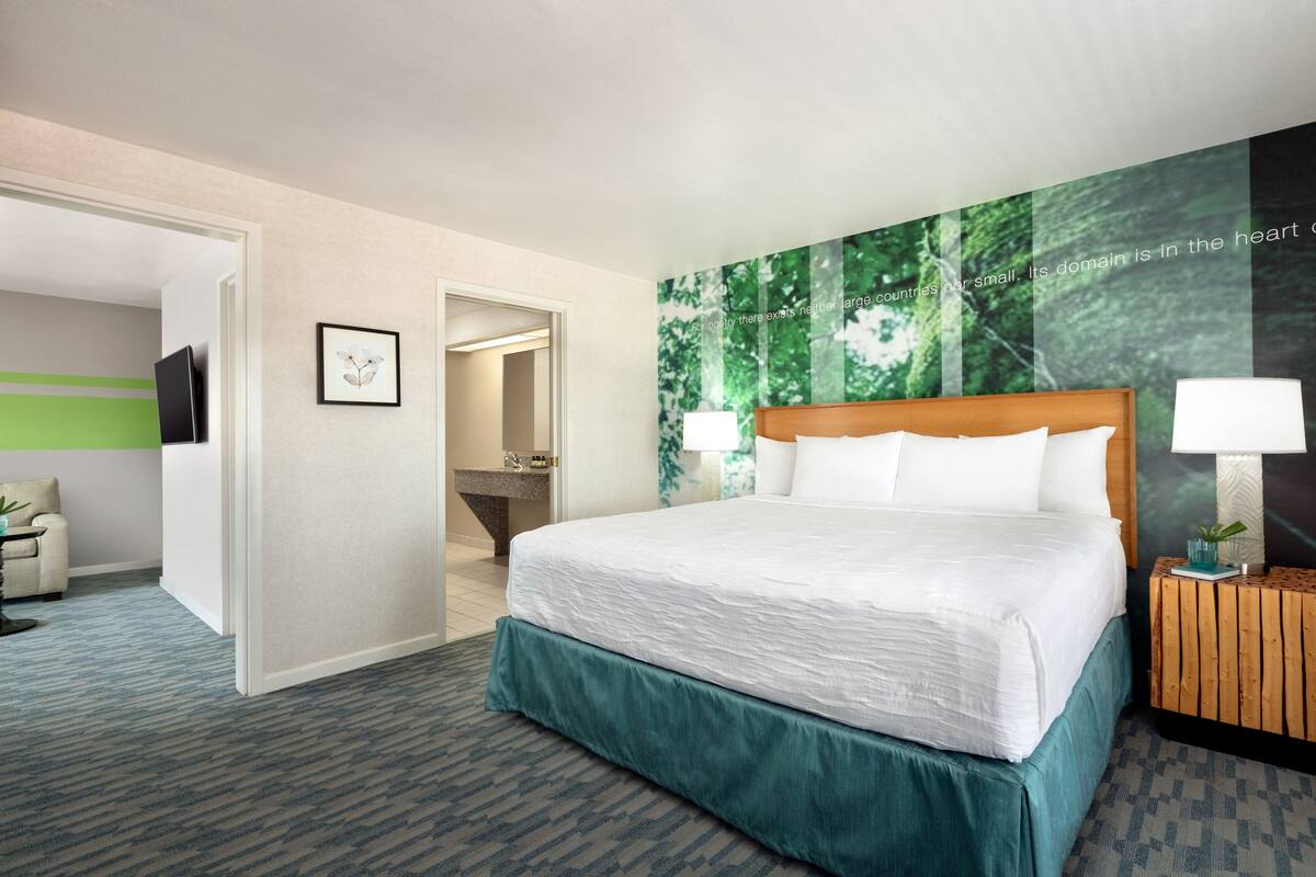 Quarto de hotel com uma cama grande, cabeceira de madeira, mesa de cabeceira com abajur, parede verde com painel de floresta, banheiro com pia e espelho, e corredor que leva a outro quarto.