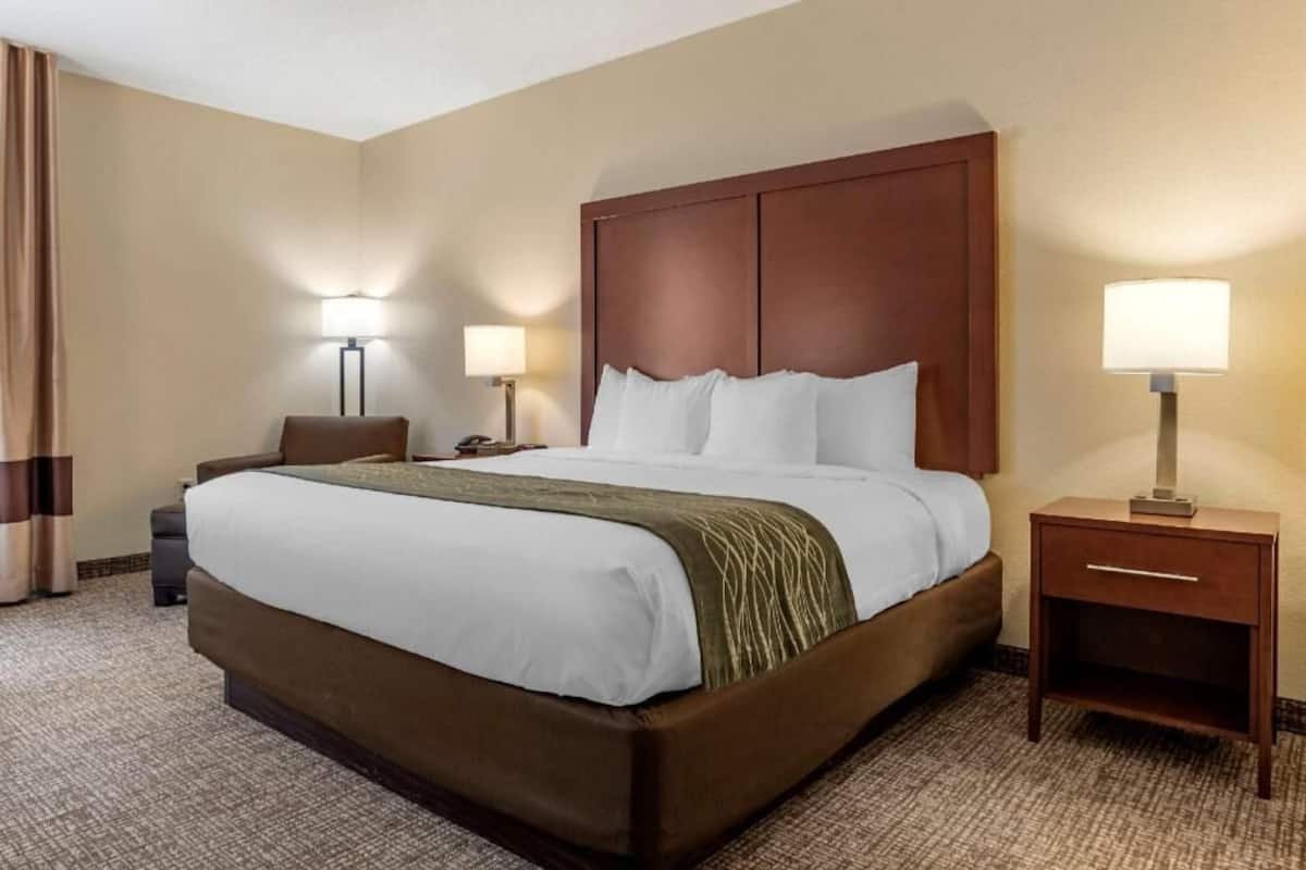 Quarto de hotel com uma cama grande, mesas de cabeceira, luminárias e piso coberto por carpete.