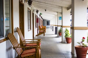 Um corredor coberto com cadeiras de madeira e plantas em vasos.