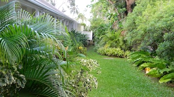 Jardim