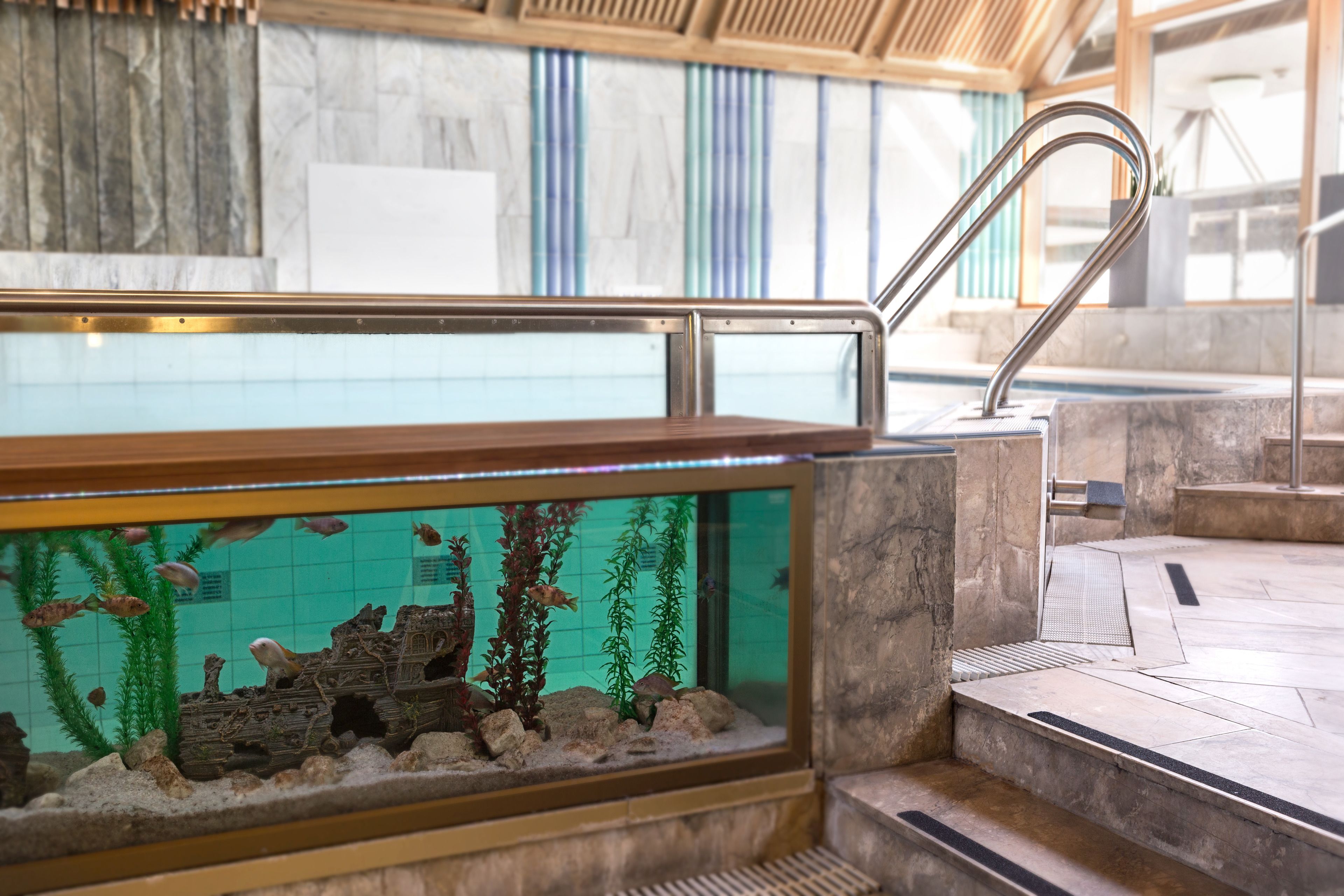 Piscina interior 