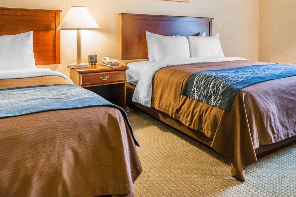 Quarto de hotel com duas camas, uma mesa de cabeceira com luminária, telefone e um quadro na parede.