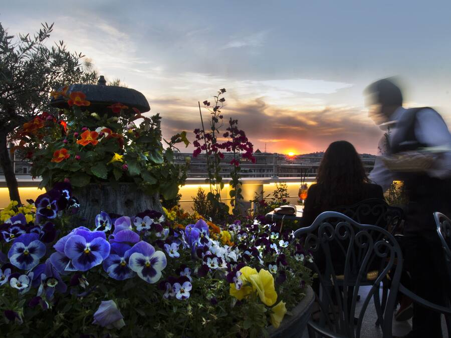 Um jardim com diversas flores e um pôr do sol ao fundo.