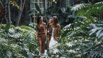 Um jardim interior exuberante com vegetação densa e um edifício ao fundo.