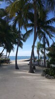 Uma praia com palmeiras, uma rede e vista para o oceano.