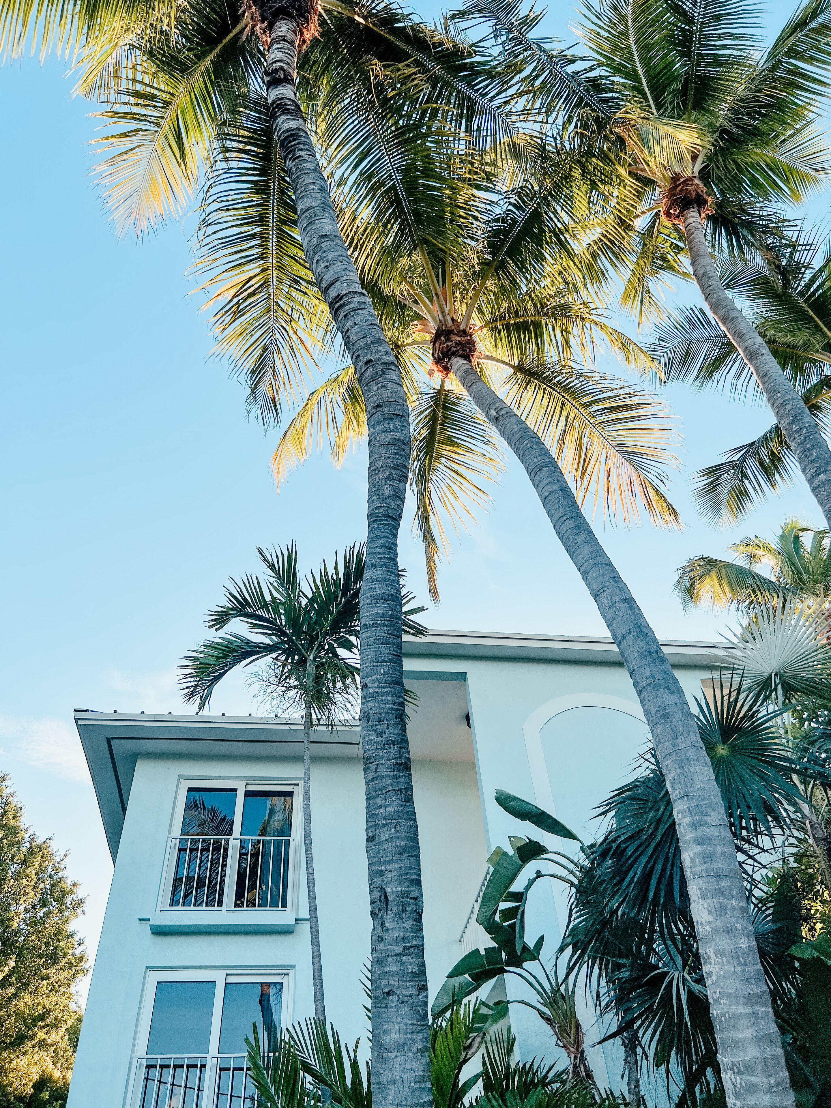 Bayside Inn Key Largo Reviews, Deals & Photos 2024 - Expedia