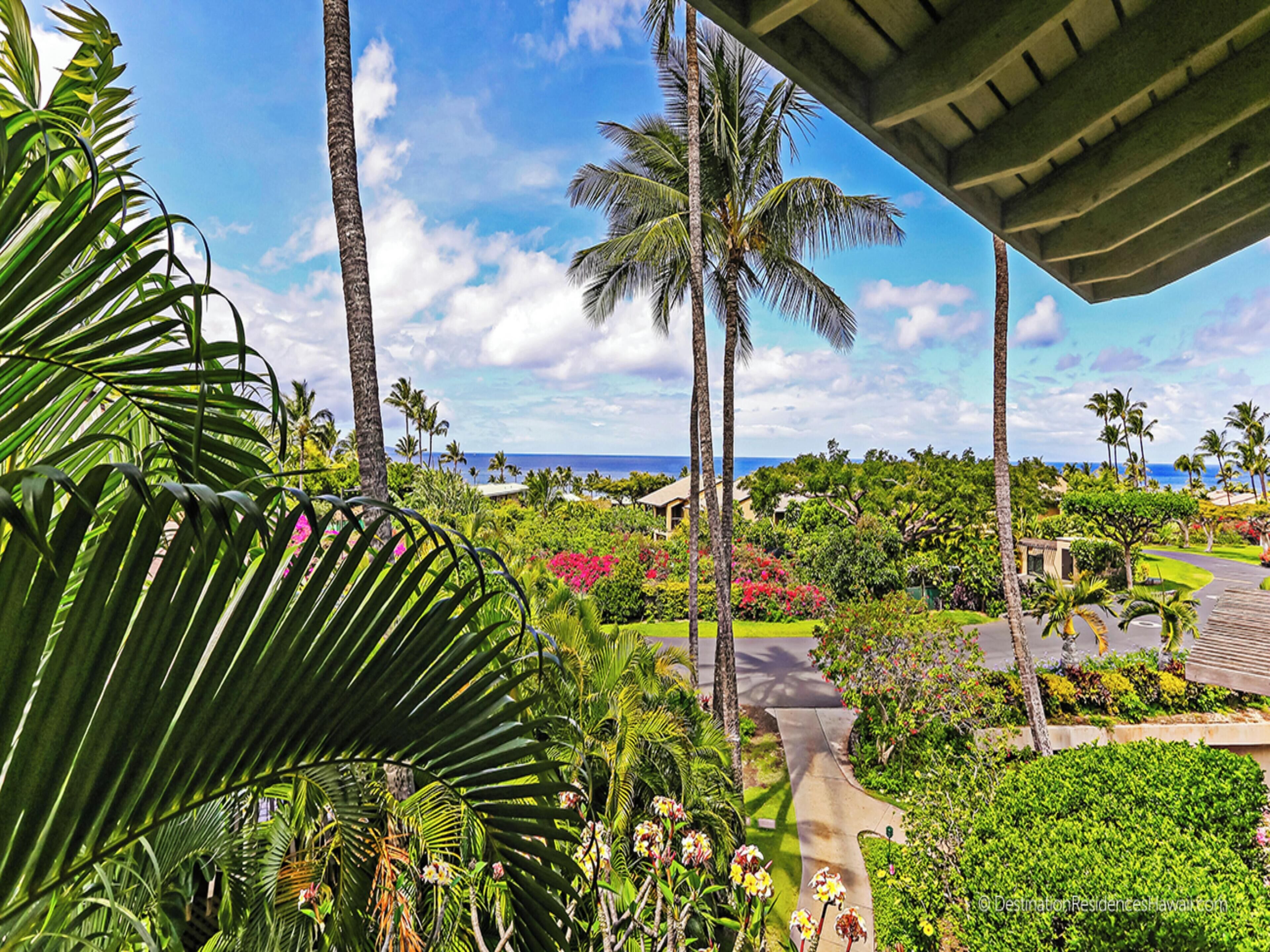 Um resort tropical com palmeiras, um caminho e vista para o oceano.