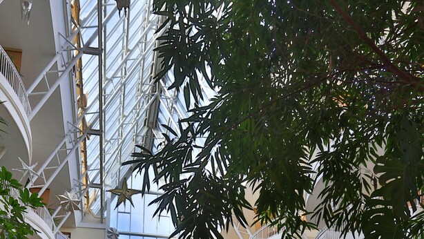 Um átrio com vários níveis, varandas, plantas internas e áreas de estar.