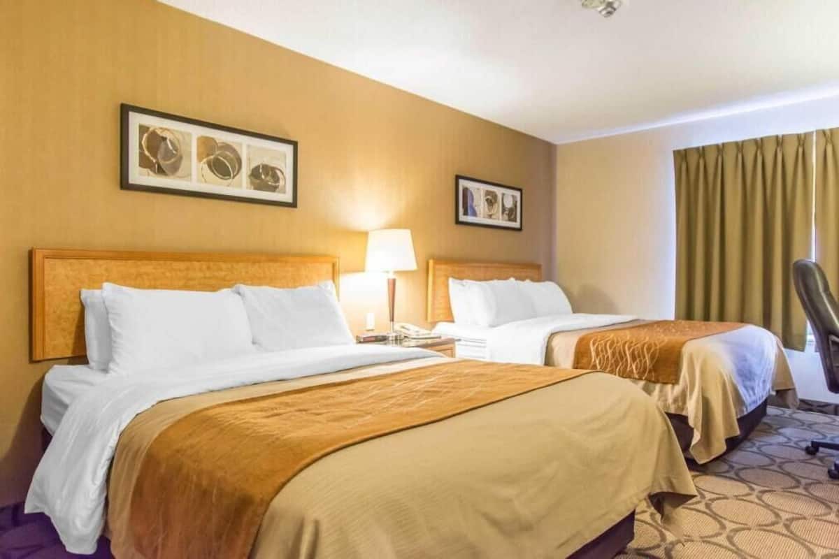 Quarto de hotel com duas camas, uma escrivaninha, uma cadeira e quadros nas paredes.