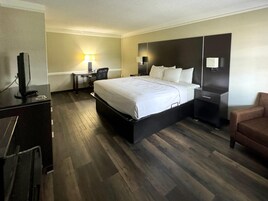 Quarto de hotel com cama, escrivaninha, cadeira, televisão e sofá.