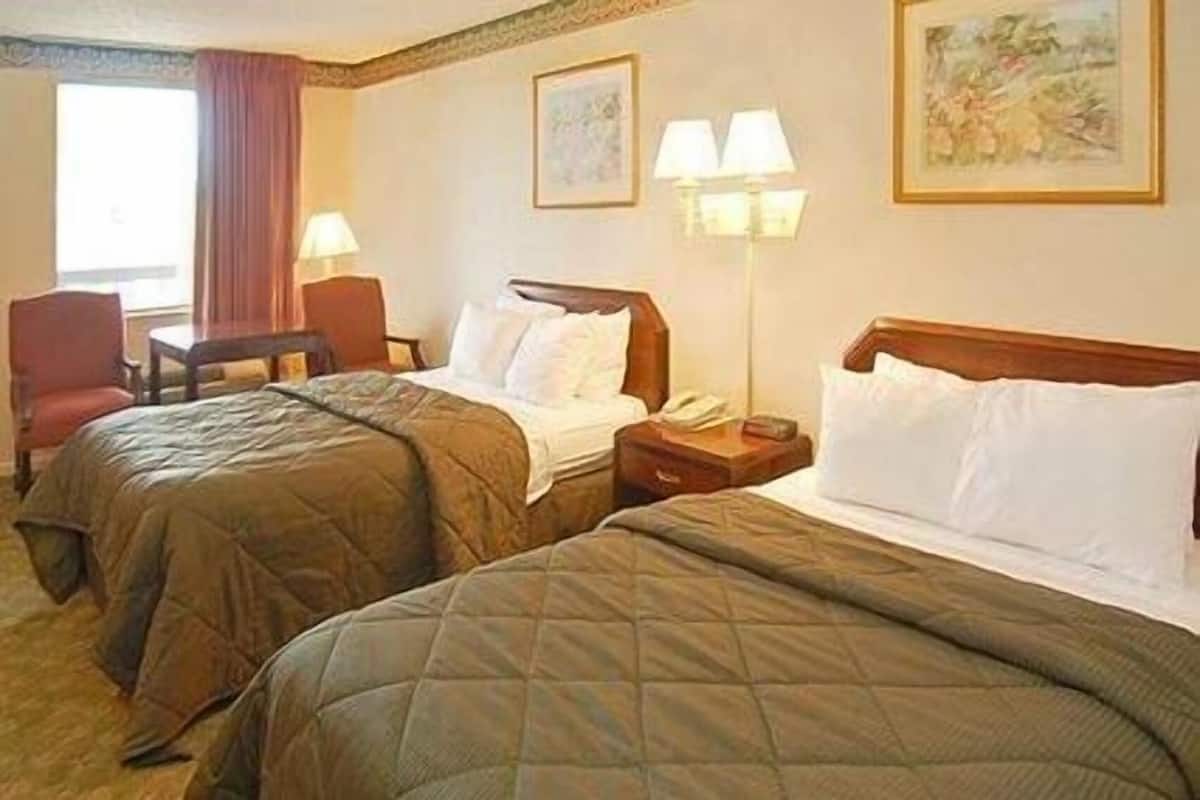Ferros/tábuas de passar roupa, Wi-Fi de cortesia, roupa de cama