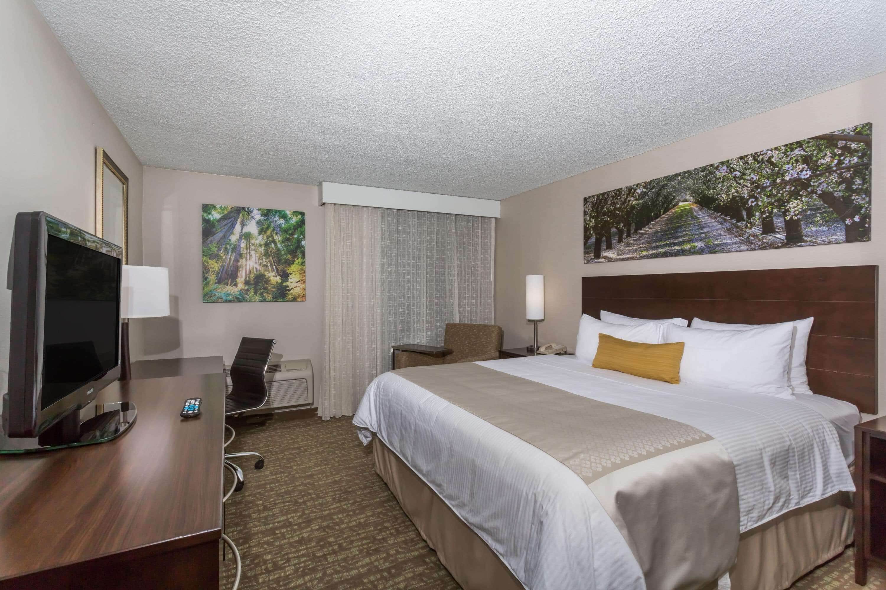 Quarto de hotel com uma cama grande, uma escrivaninha com televisão, uma cadeira, um abajur e um quadro na parede.