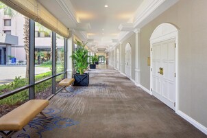 Corredor de hotel com piso carpeteado, bancos, plantas em vasos e vista para o exterior.