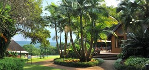 Jardim