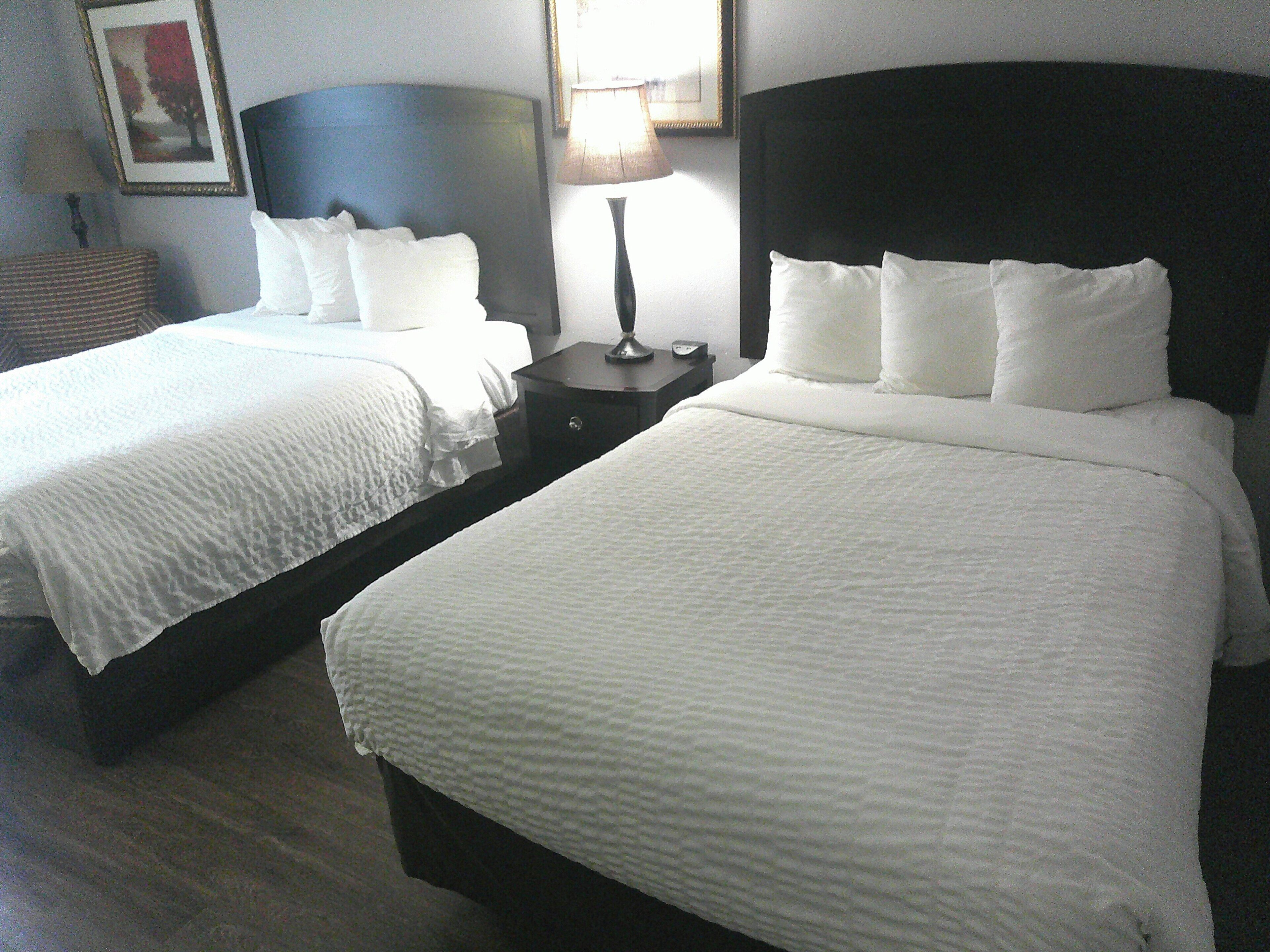 Quarto de hotel com duas camas, cada uma com roupa de cama branca e cabeceiras. Há uma mesa de cabeceira entre as camas com uma luminária e um relógio.