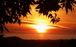 Um pôr do sol sobre a água, com silhuetas de árvores em primeiro plano.
