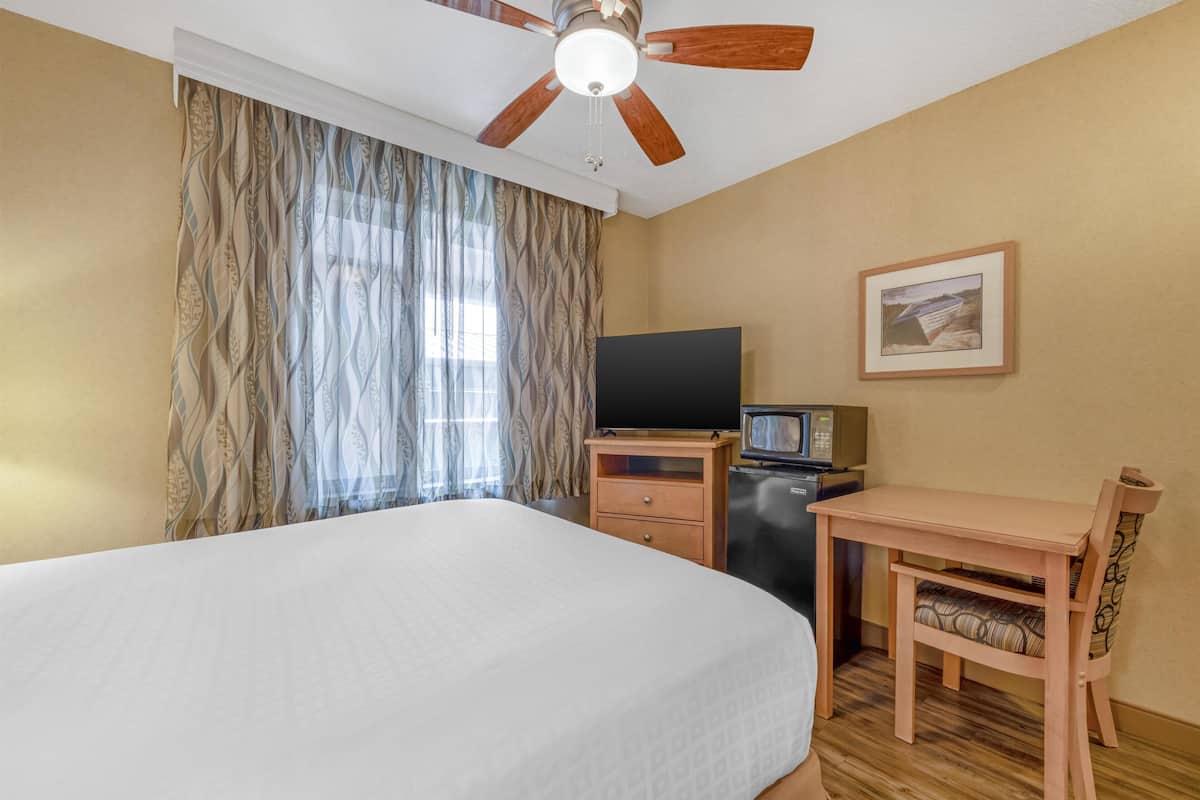 Quarto de hotel com uma cama grande, um ventilador de teto, televisão, escrivaninha e uma cadeira.