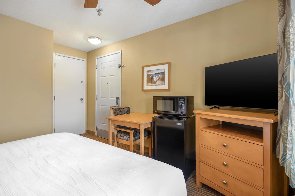 Quarto de hotel com uma cama, uma escrivaninha com micro-ondas, televisão, porta e um quadro na parede.