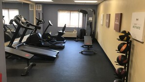Uma academia com esteiras, elípticos, um banco e um suporte de medicine ball fixado na parede.