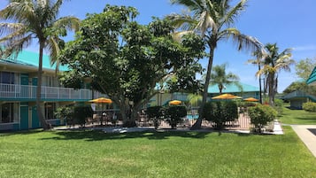 Vista da propriedade