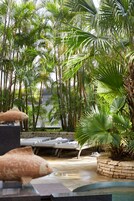 Terraço/pátio interior