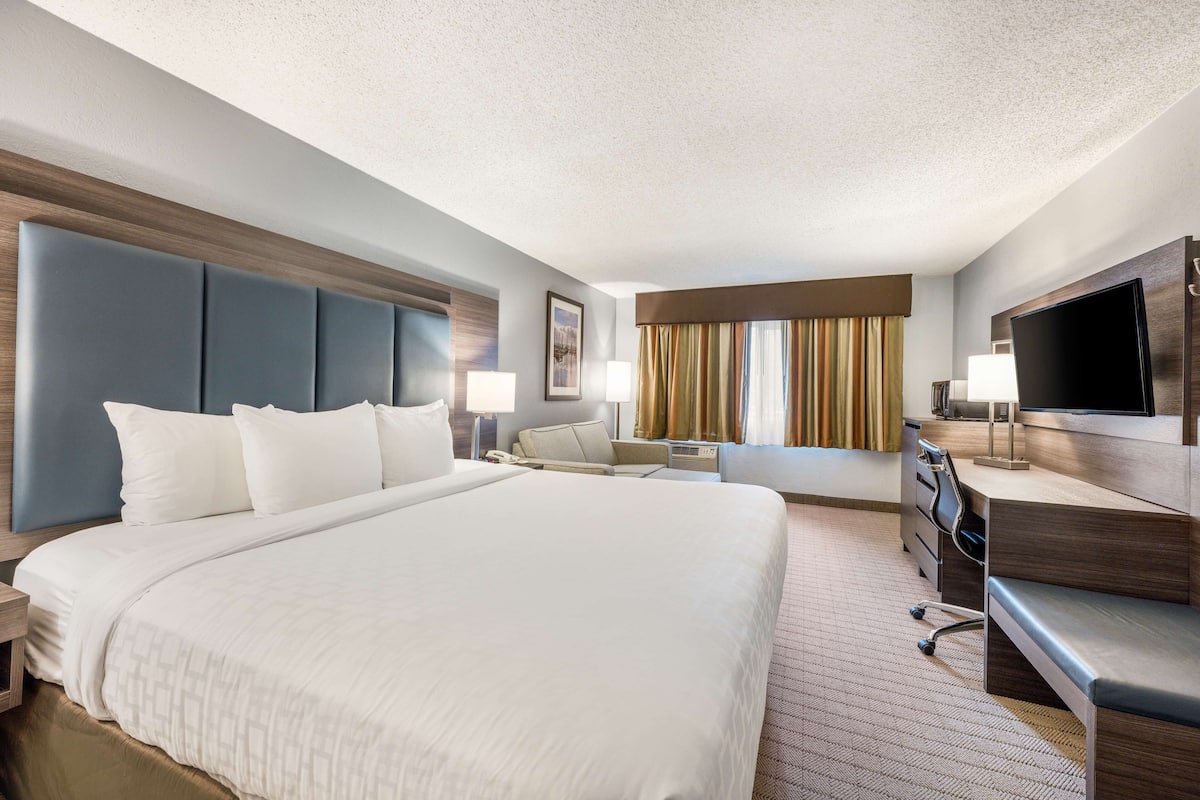Quarto de hotel com uma cama grande, uma escrivaninha, uma cadeira, uma televisão e uma janela com cortinas.