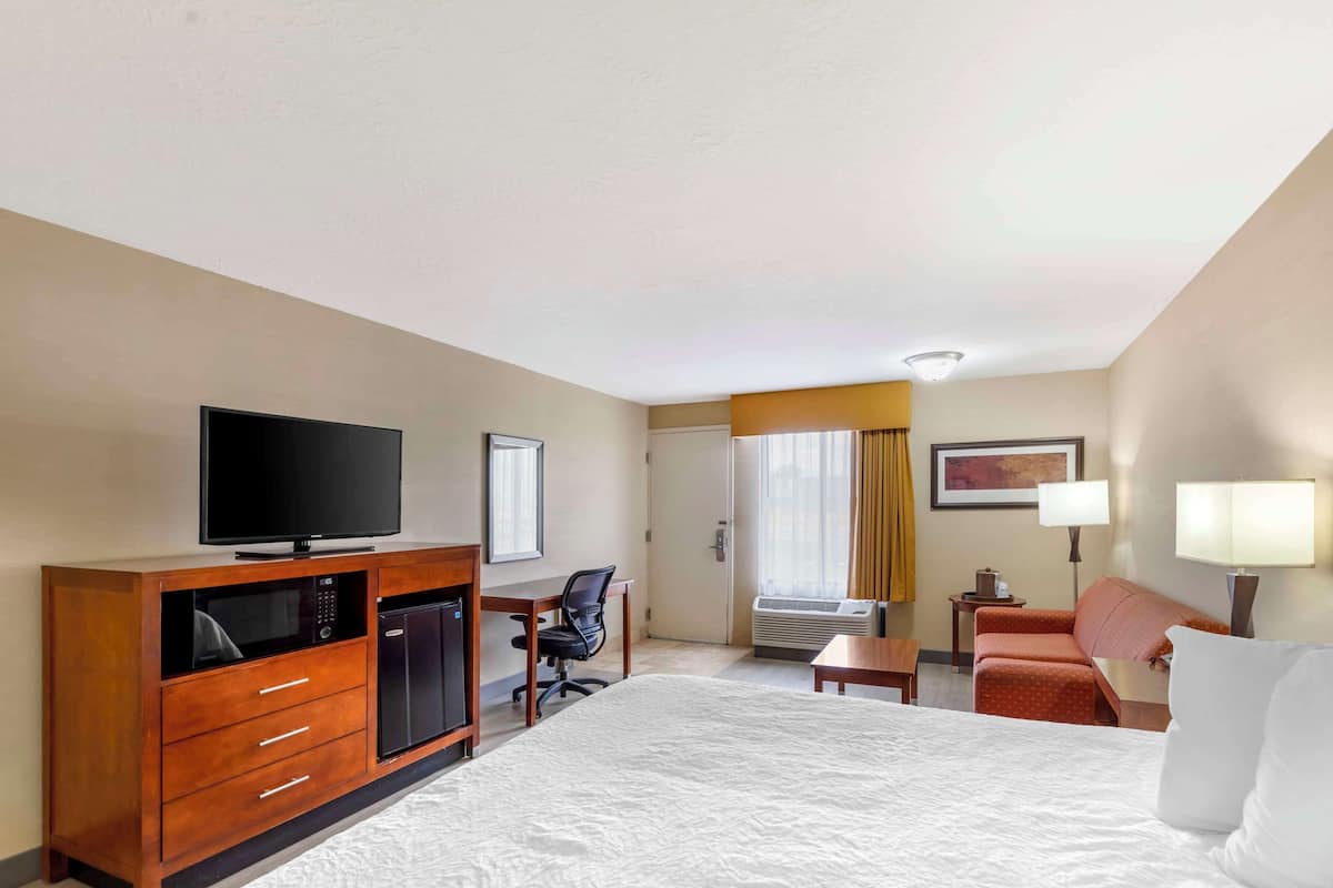 Quarto de hotel com uma cama grande, televisão, escrivaninha com cadeira, mesinha, sofá e janela com cortinas.