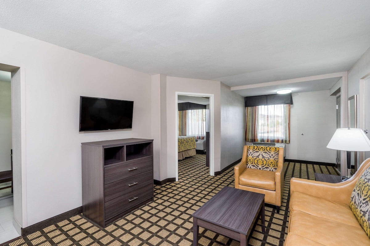 Quarto de hotel com televisão, sofá, cadeira, escrivaninha e chão estampado.