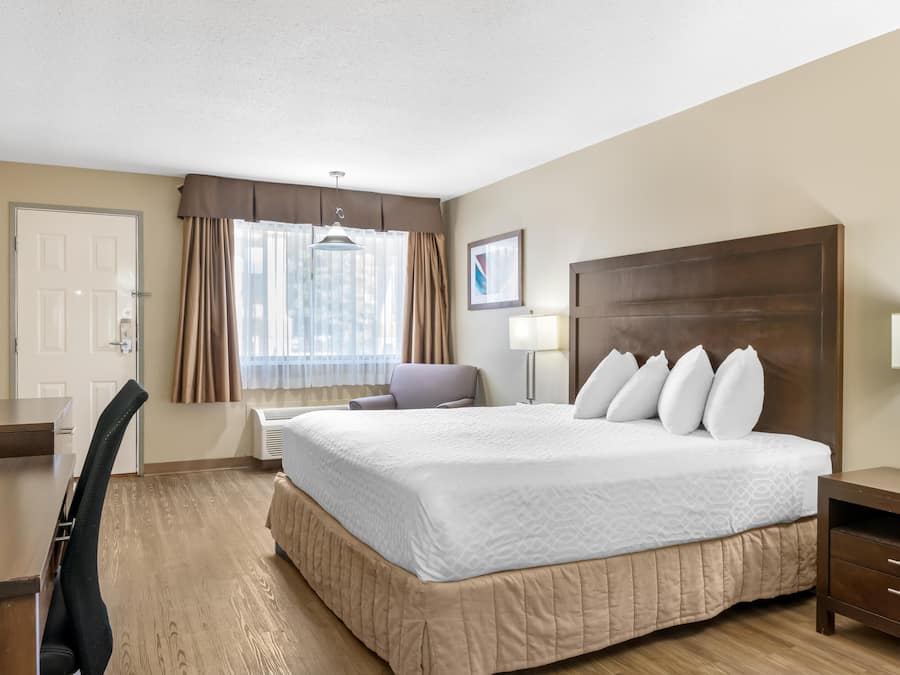 Quarto Standard, 1 cama king-size, não fumadores | Secretária, cortinas/cortinados opacos, ferro/tábua de engomar