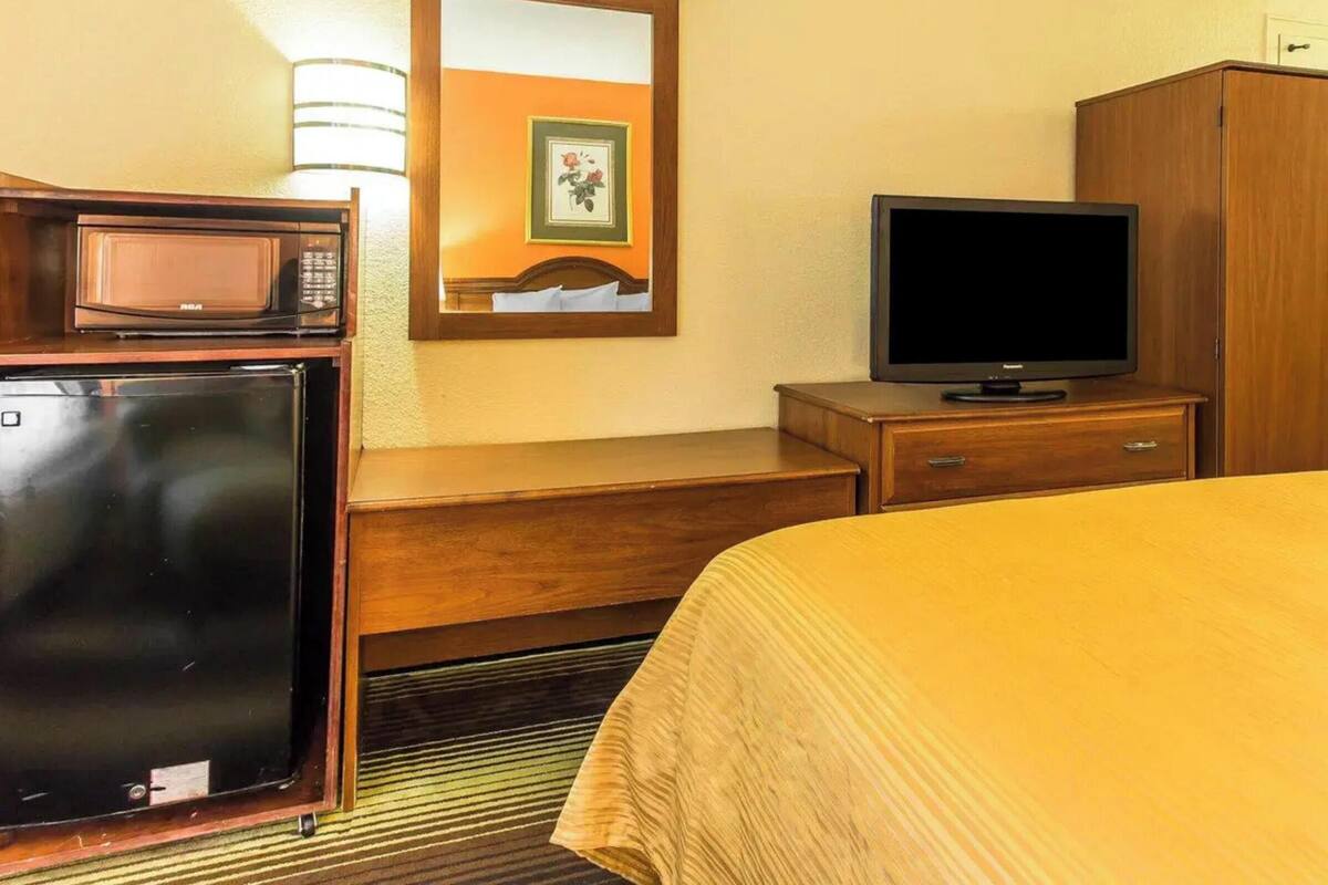 Quarto de hotel com cama, televisão, micro-ondas, frigorífico, cómoda de madeira e espelho.