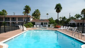Uma piscina retangular com placa de proibição de mergulho, rodeada por espreguiçadeiras brancas e palmeiras.