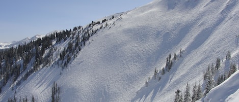Uma montanha coberta de neve com árvores perenes densas.