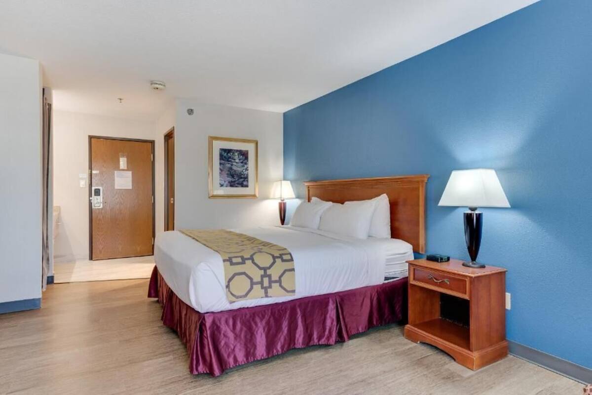 Quarto de hotel com cama, abajures, mesa de cabeceira, porta e um quadro na parede.