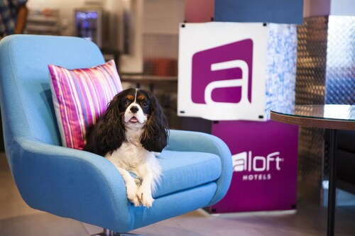 Aloft Miami Dadeland Reviews, Deals & Photos 2024 - Expedia