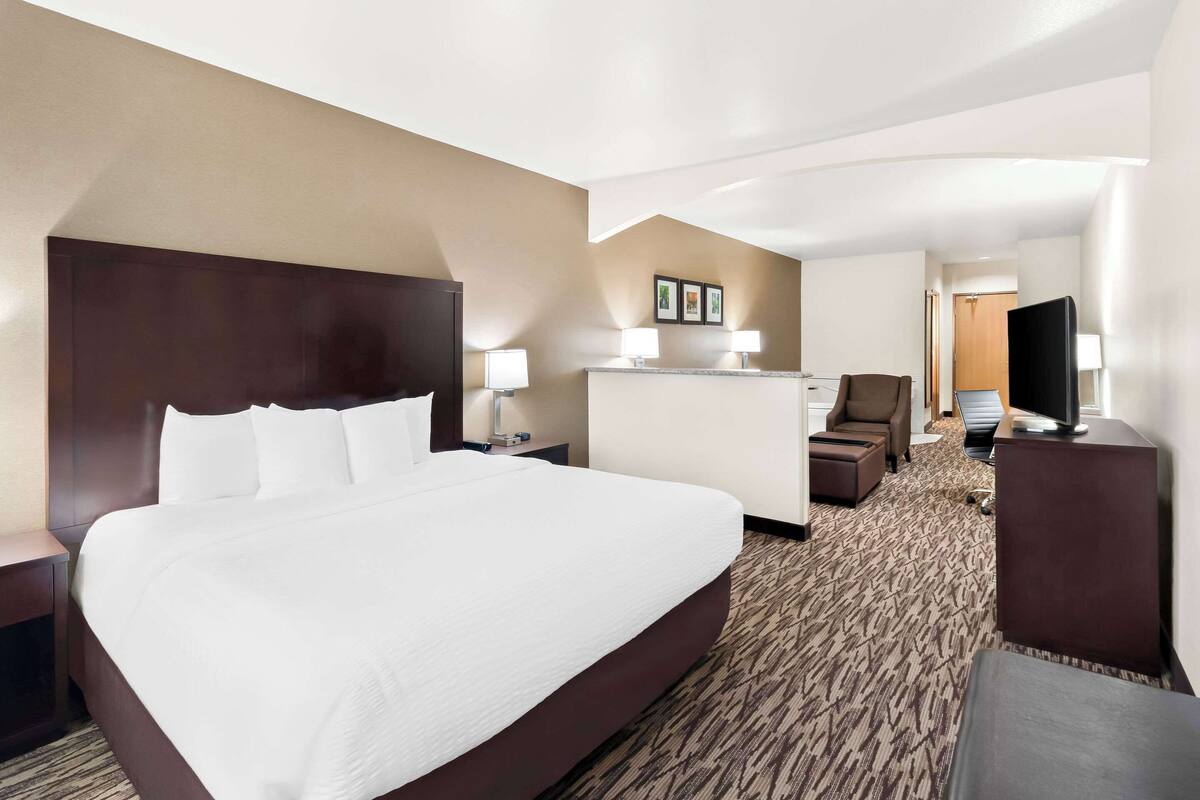 Quarto de hotel com uma cama grande, uma escrivaninha, uma cadeira, uma televisão e piso coberto de carpete.