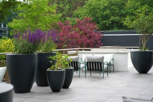 Terraço/pátio interior