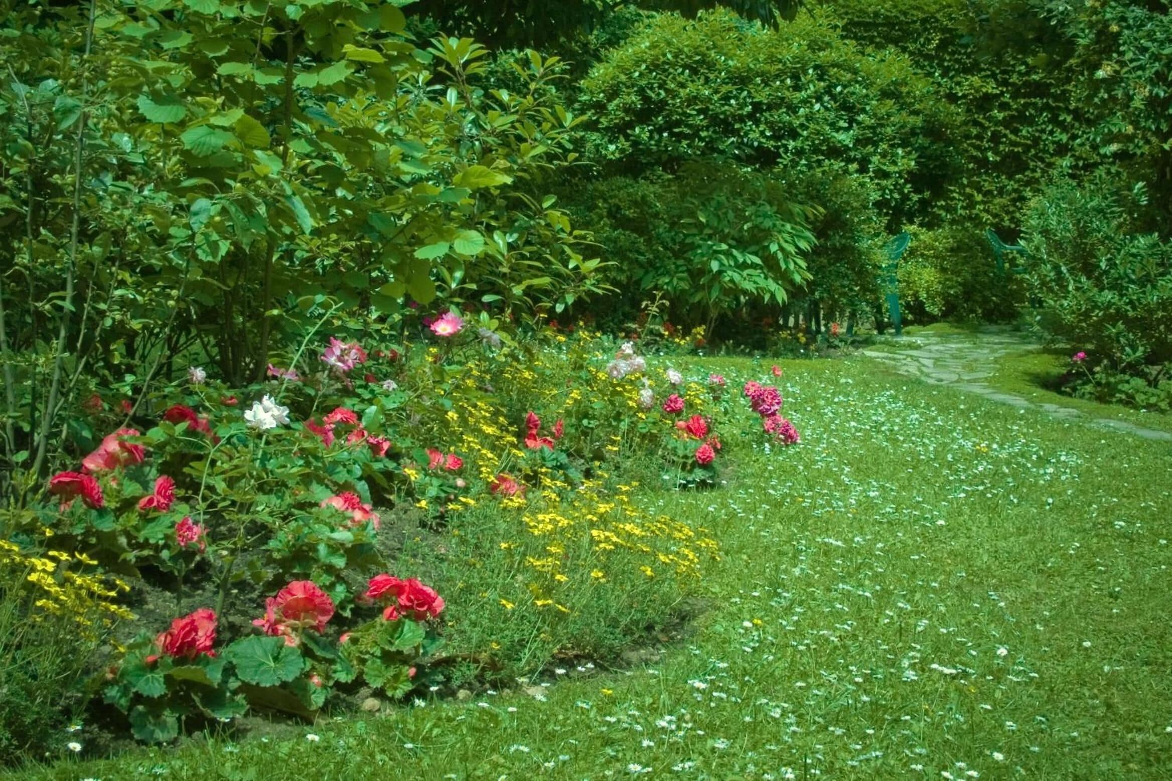 Um jardim exuberante com diversas flores e vegetação.