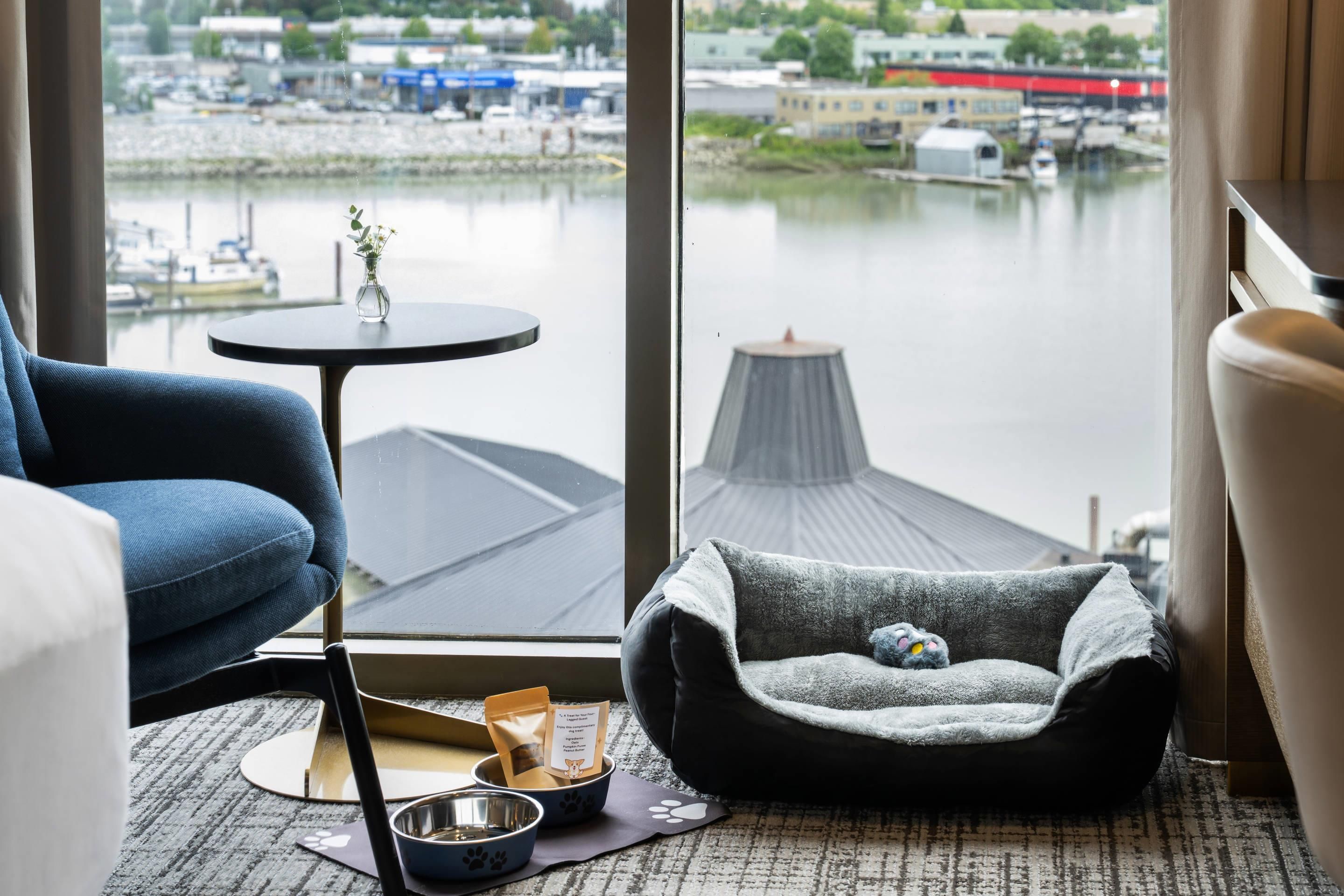 Quarto de hotel moderno com vista para um porto, uma mesa redonda com um vaso, uma cama para animais de estimação e um comedouro para cão.