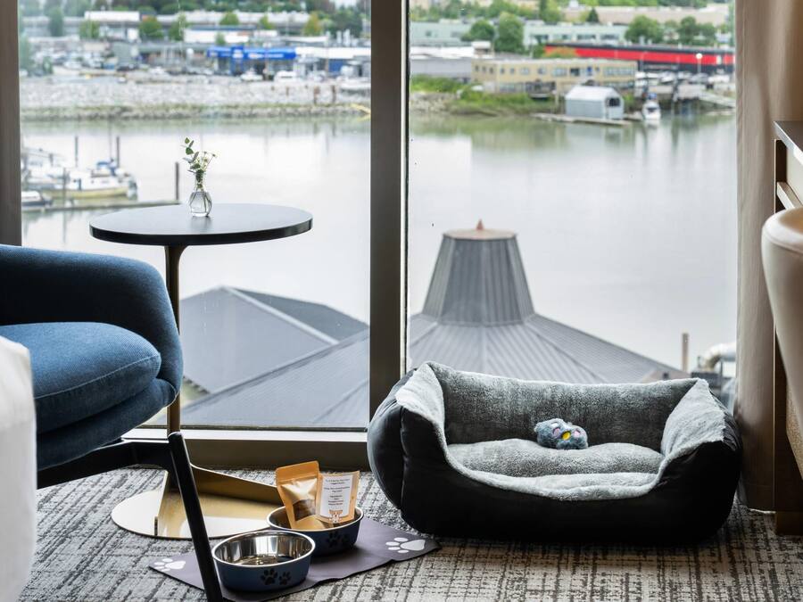 Quarto de hotel moderno com vista para um porto, uma mesa redonda com um vaso, uma cama para animais de estimação e um comedouro para cão.