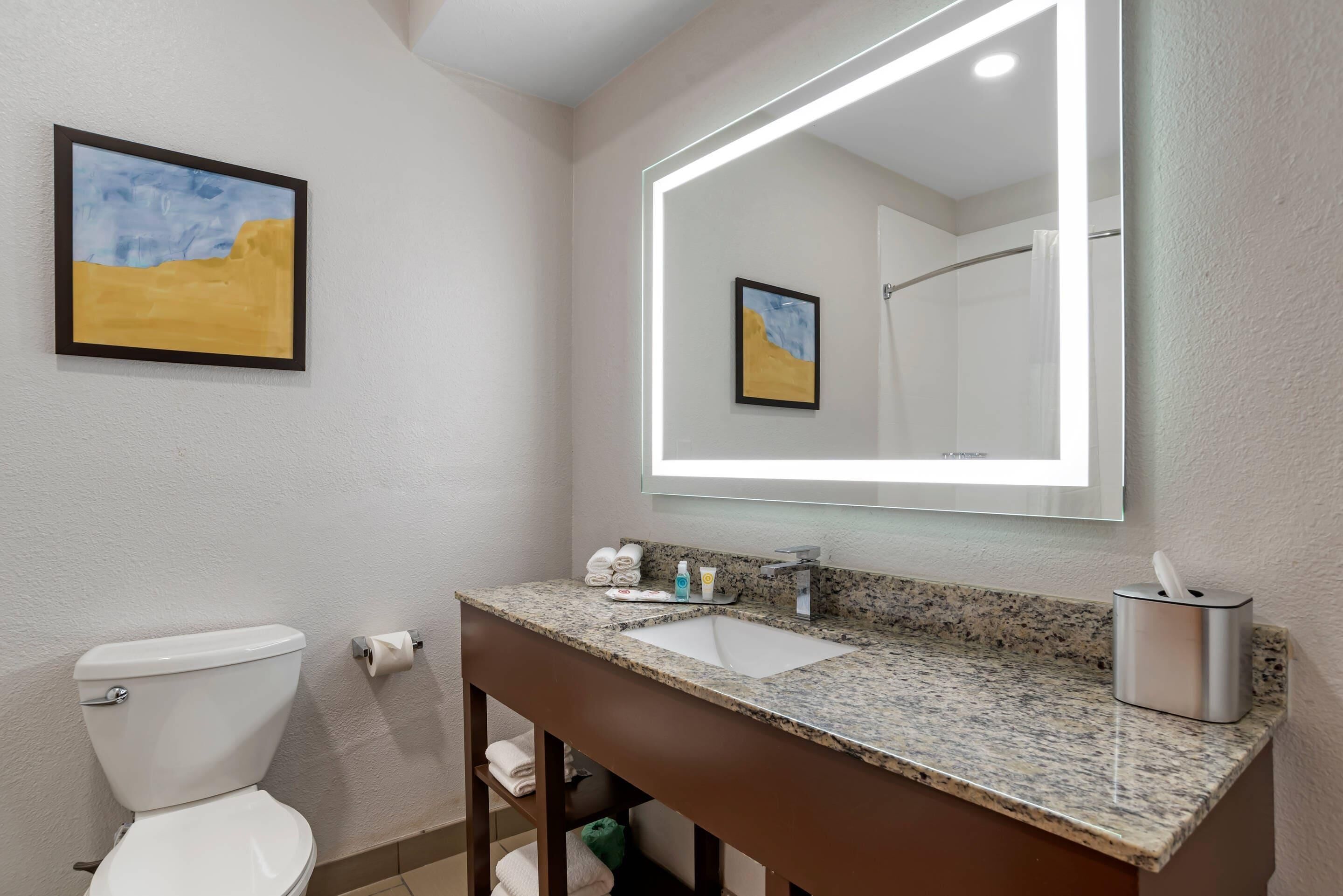 Casa de banho com sanita branca, lavatório com bancada de granito, espelho com luz e um quadro emoldurado na parede.