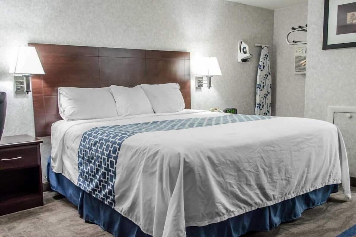 Cortinas/cortinados opacos, berços/camas para crianças grátis