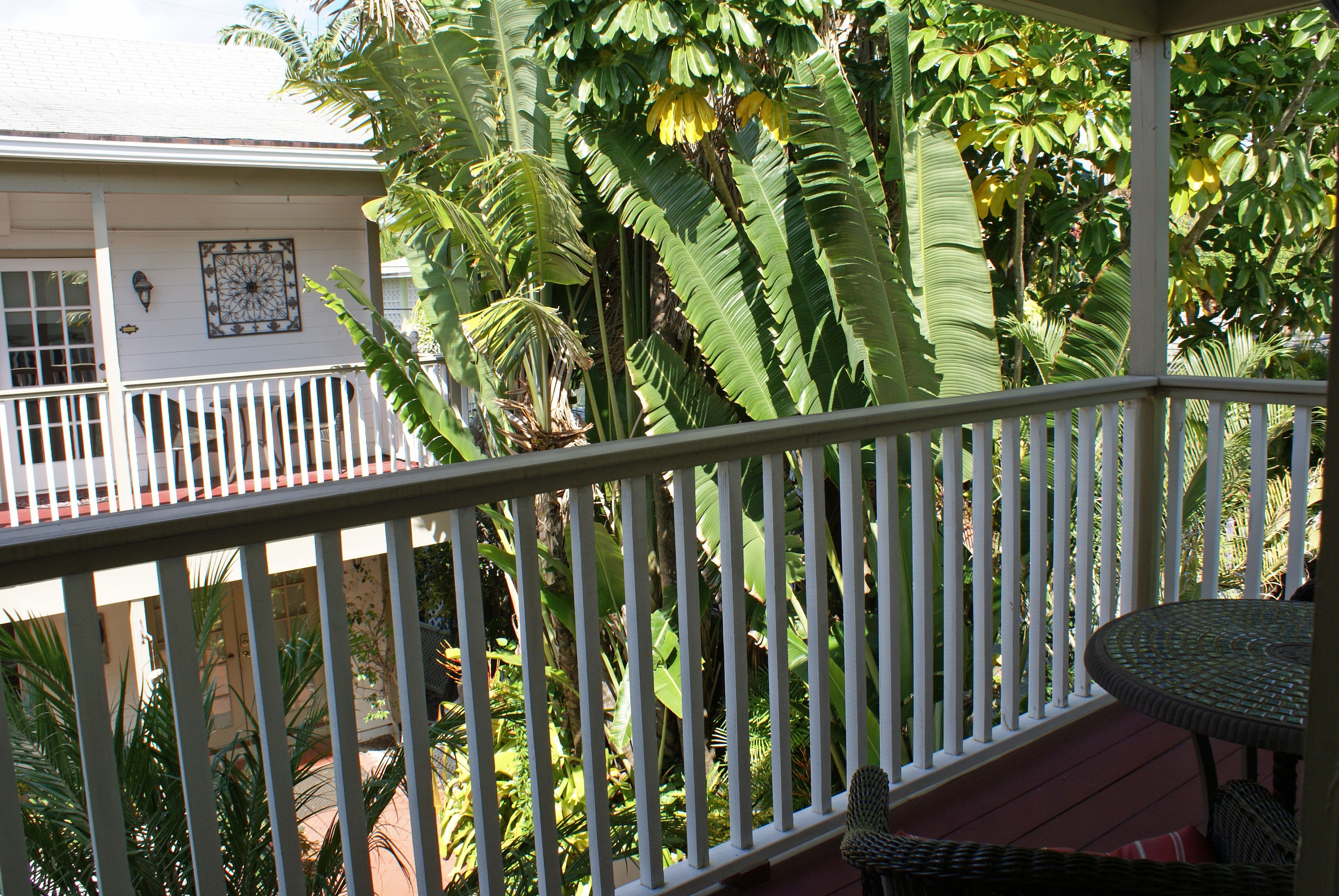 Uma área externa coberta com guarda-corpo branco, mesa de vime e plantas tropicais exuberantes.