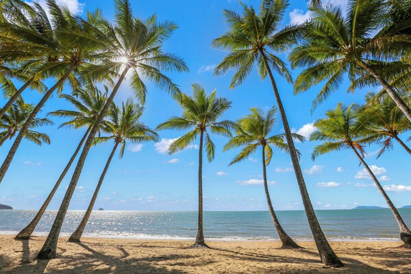 Alamanda Palm Cove By Lancemore - Cairns